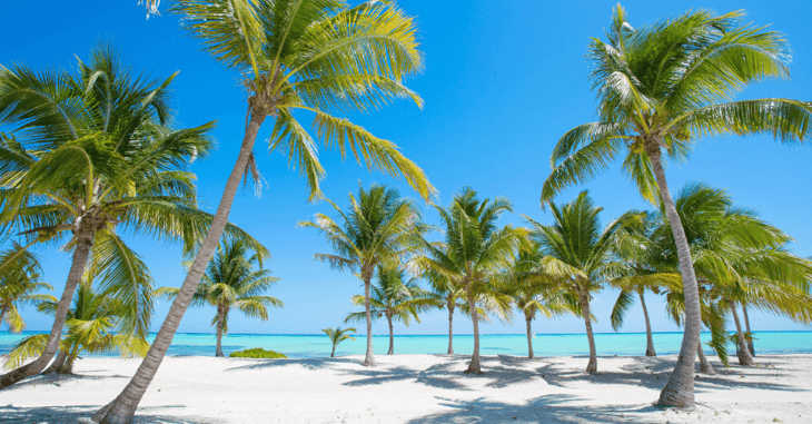 The ultimate guide to your Caxton Card