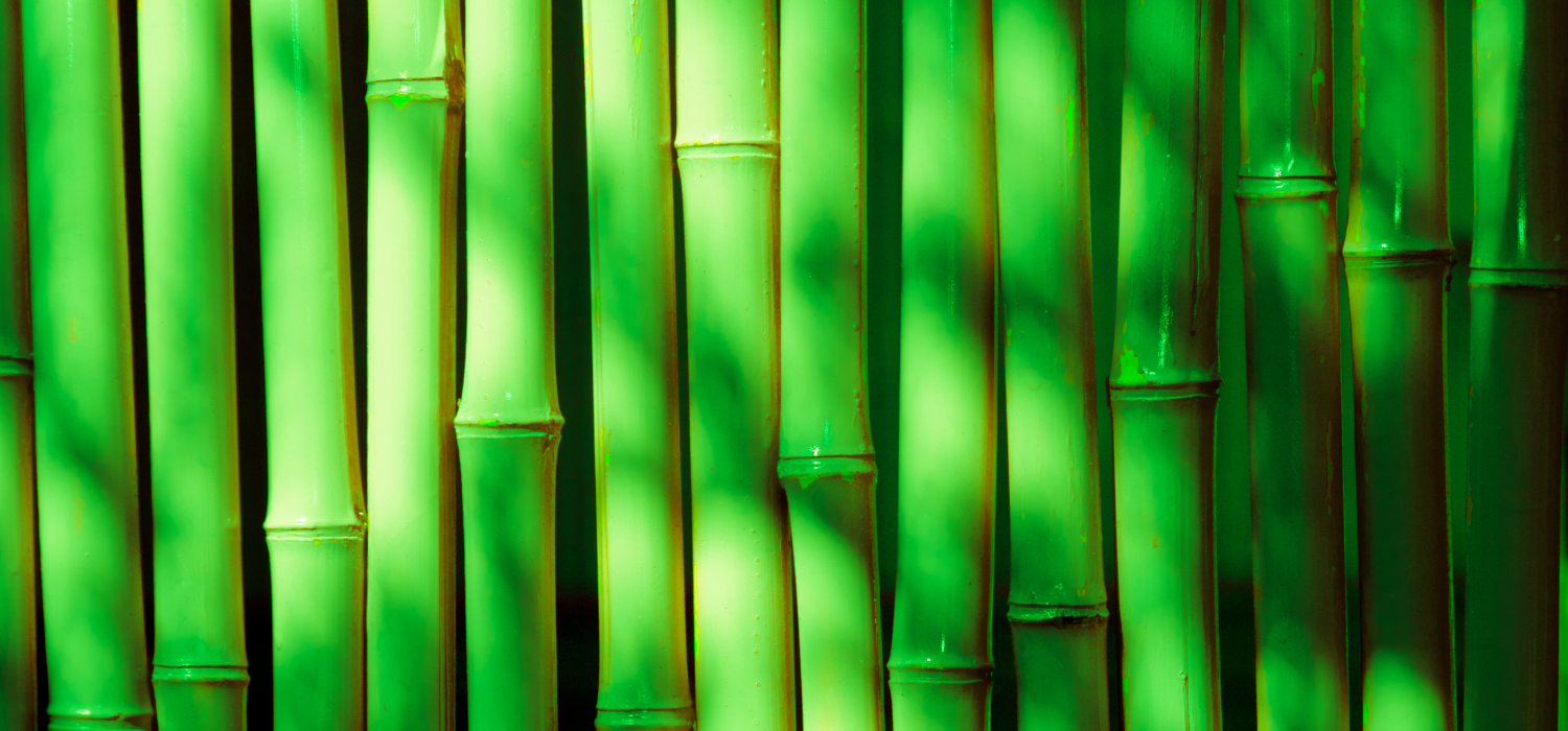 Case Study: Bamboo Systems